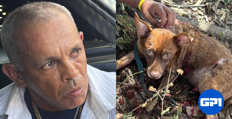 Polícia prende suspeito de arrastar cachorro amarrado em carro na zona ...